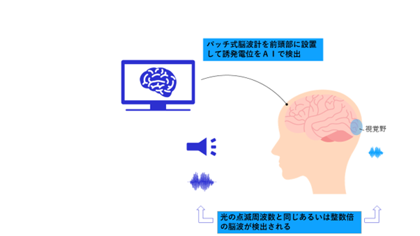 NAIS Entryを使った脳波AI解析事例〜⑤BMI/BCIに役立つ脳波によるSSVEPの検出